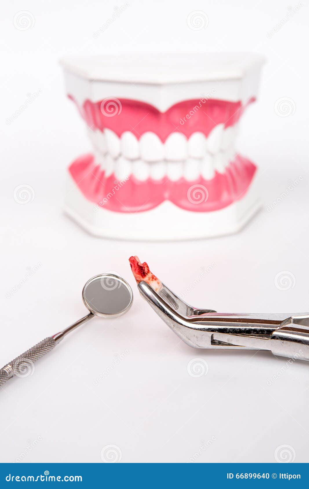 White Teeth and Dental Instruments Stock Photo - Image of dental ...