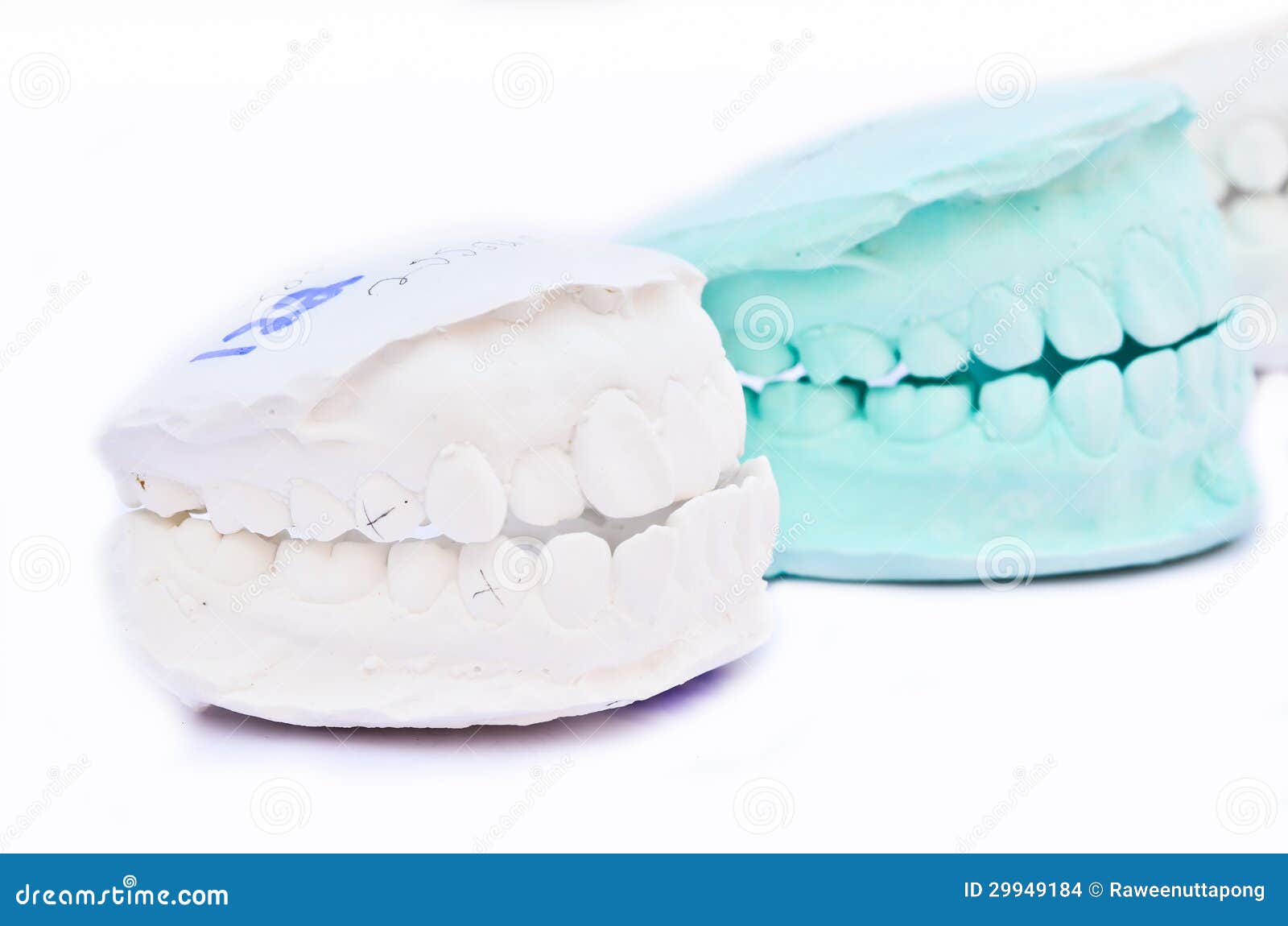 White teeth, model stock photo. Image of denture, background - 29949184
