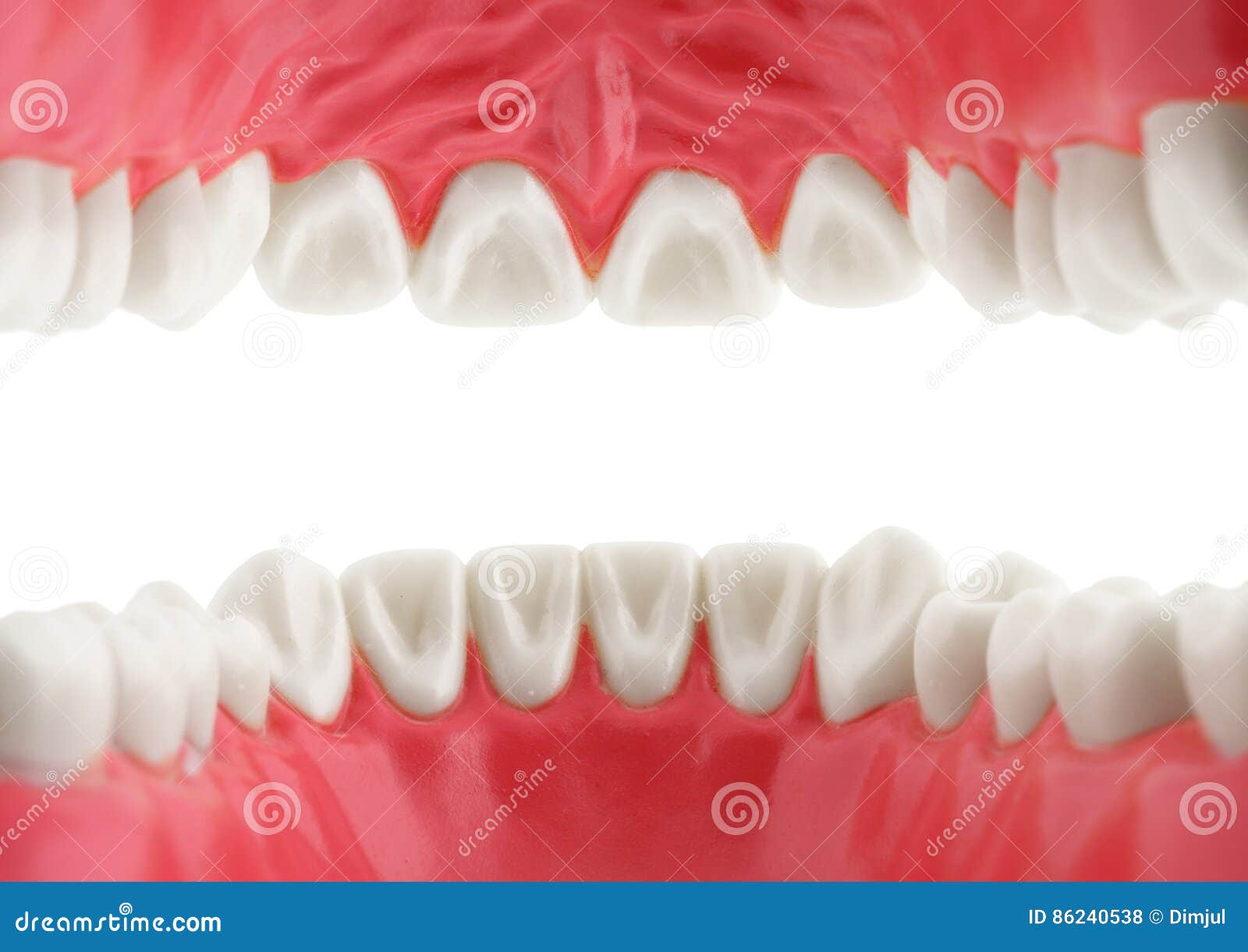White Teeth, View from Mouth, Isolated with Path Stock Photo - Image of ...