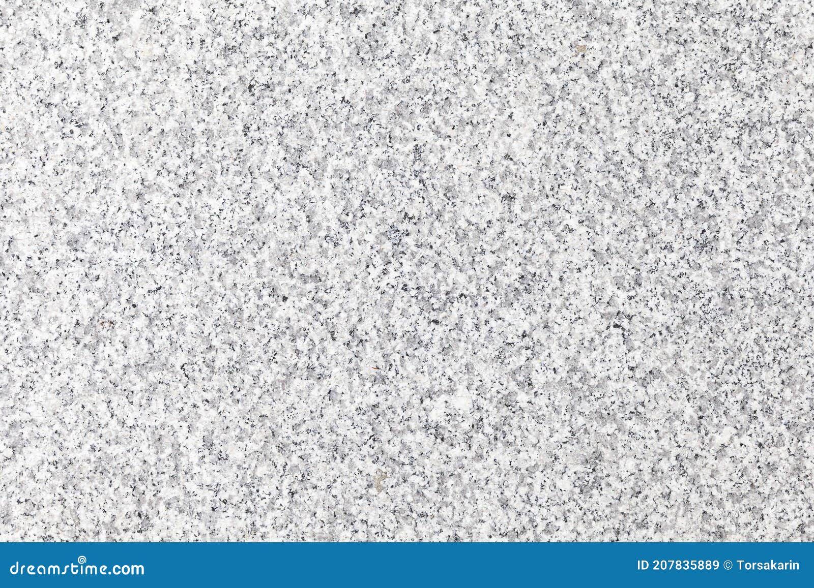 White Terrazzo Floor Texture and Seamless Stock Image - Image of paving ...