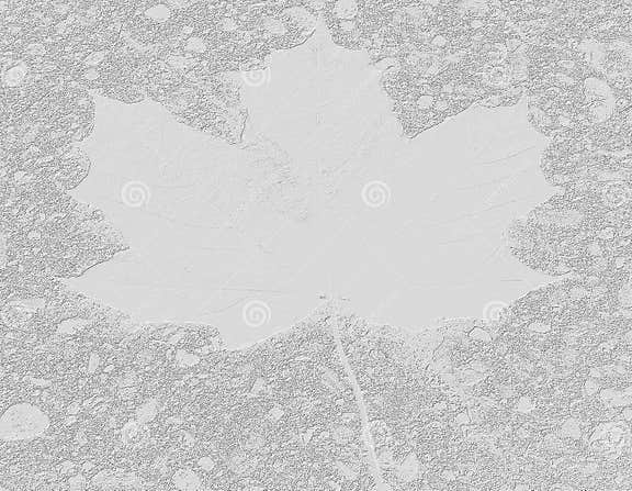 White Texture Background,abstract Background,White Rustic Texture,Black ...
