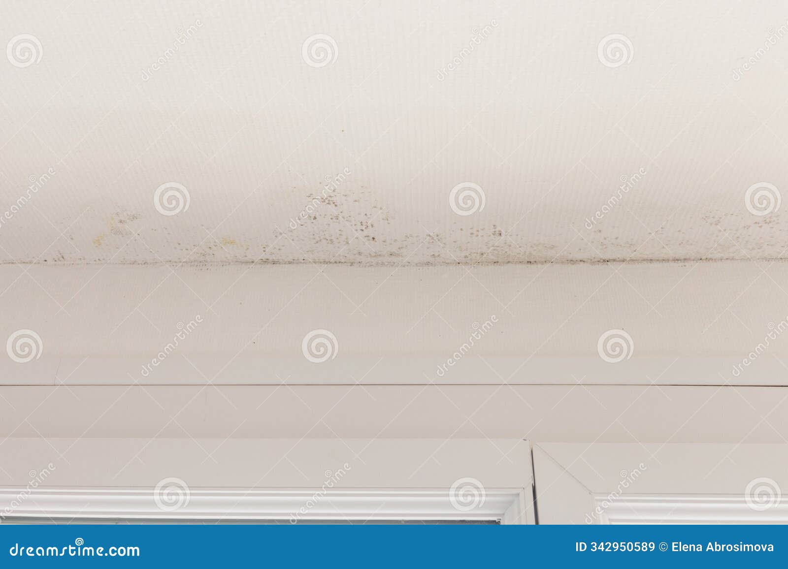 White Textured Ceiling with Visible Mold Spots and Moisture Damage Near ...