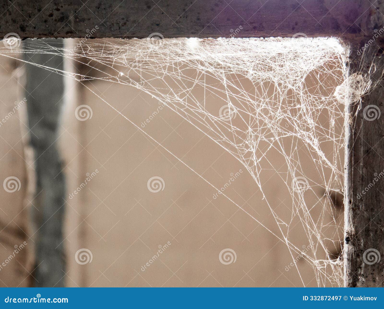 Spider Web on Corner of Metal Construction Stock Image - Image of hair ...