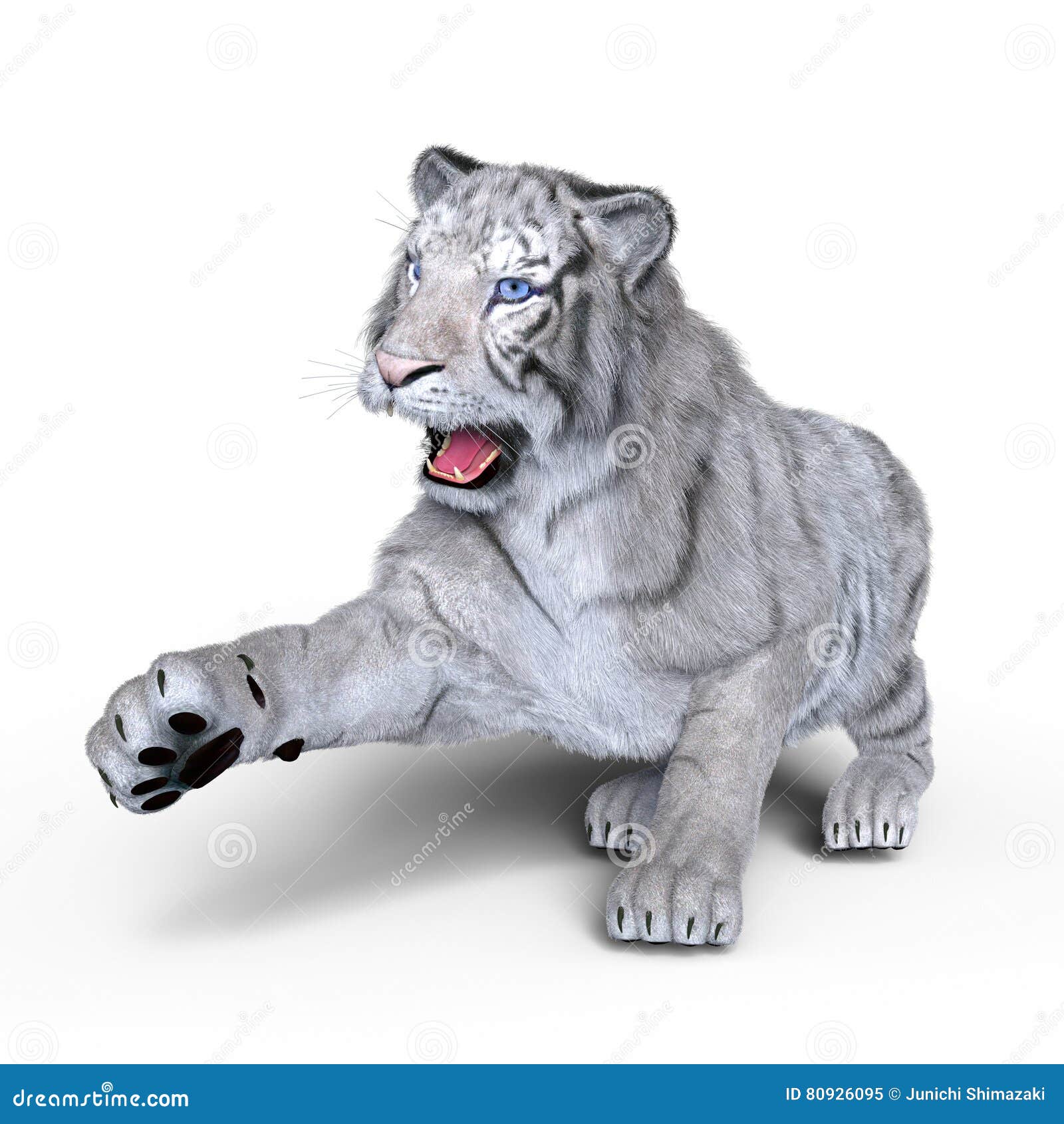 White tiger stock illustration. Illustration of fierce - 80926095