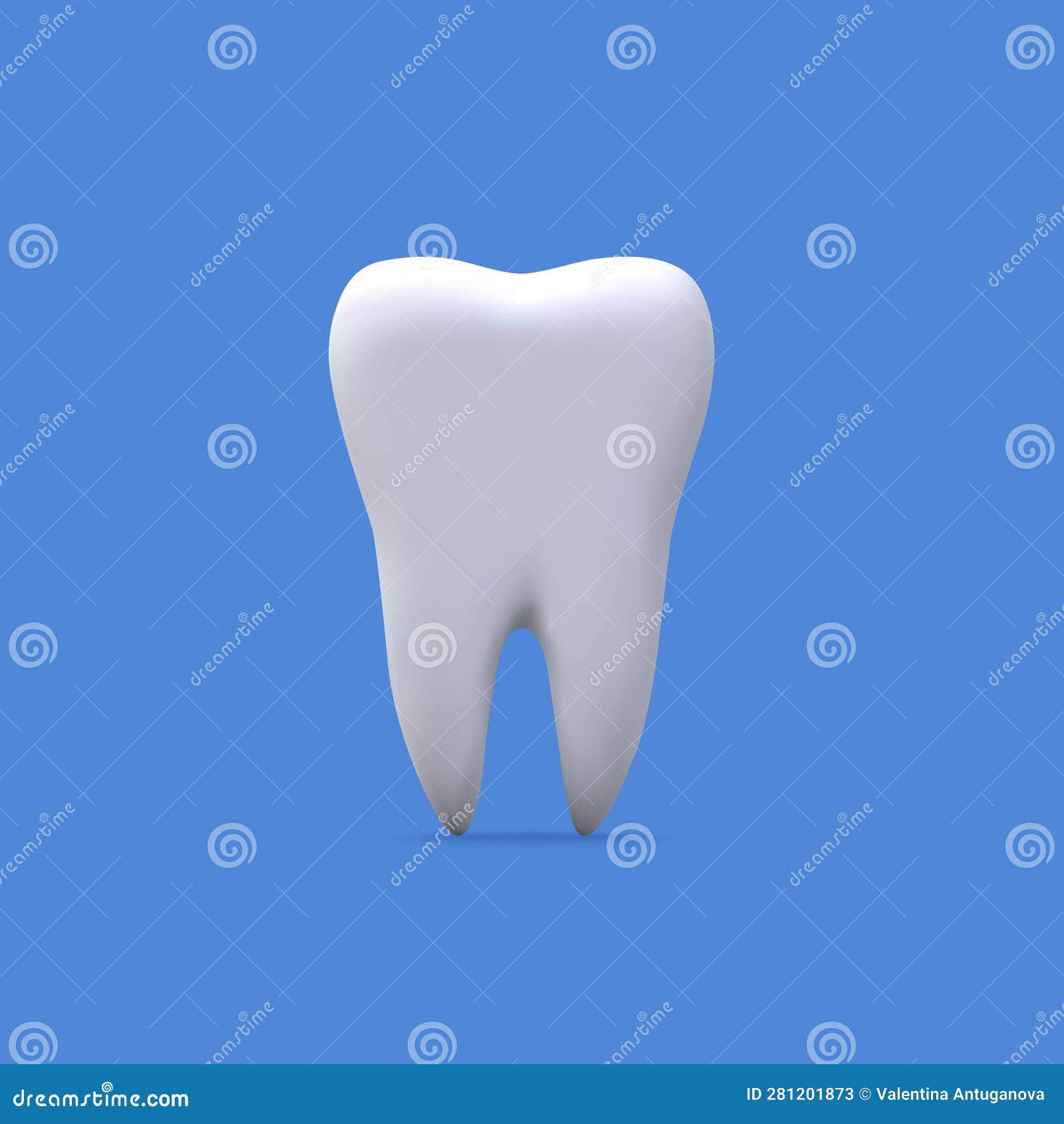 White Tooth. Dental Model of Premolar Tooth Stock Vector - Illustration ...
