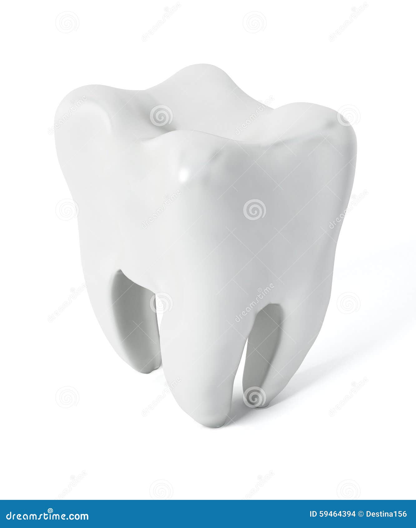 White tooth stock illustration. Illustration of isolated - 59464394