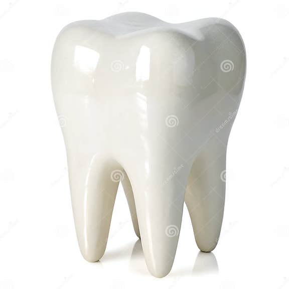 White Tooth Model Isolated on White Background Stock Illustration ...