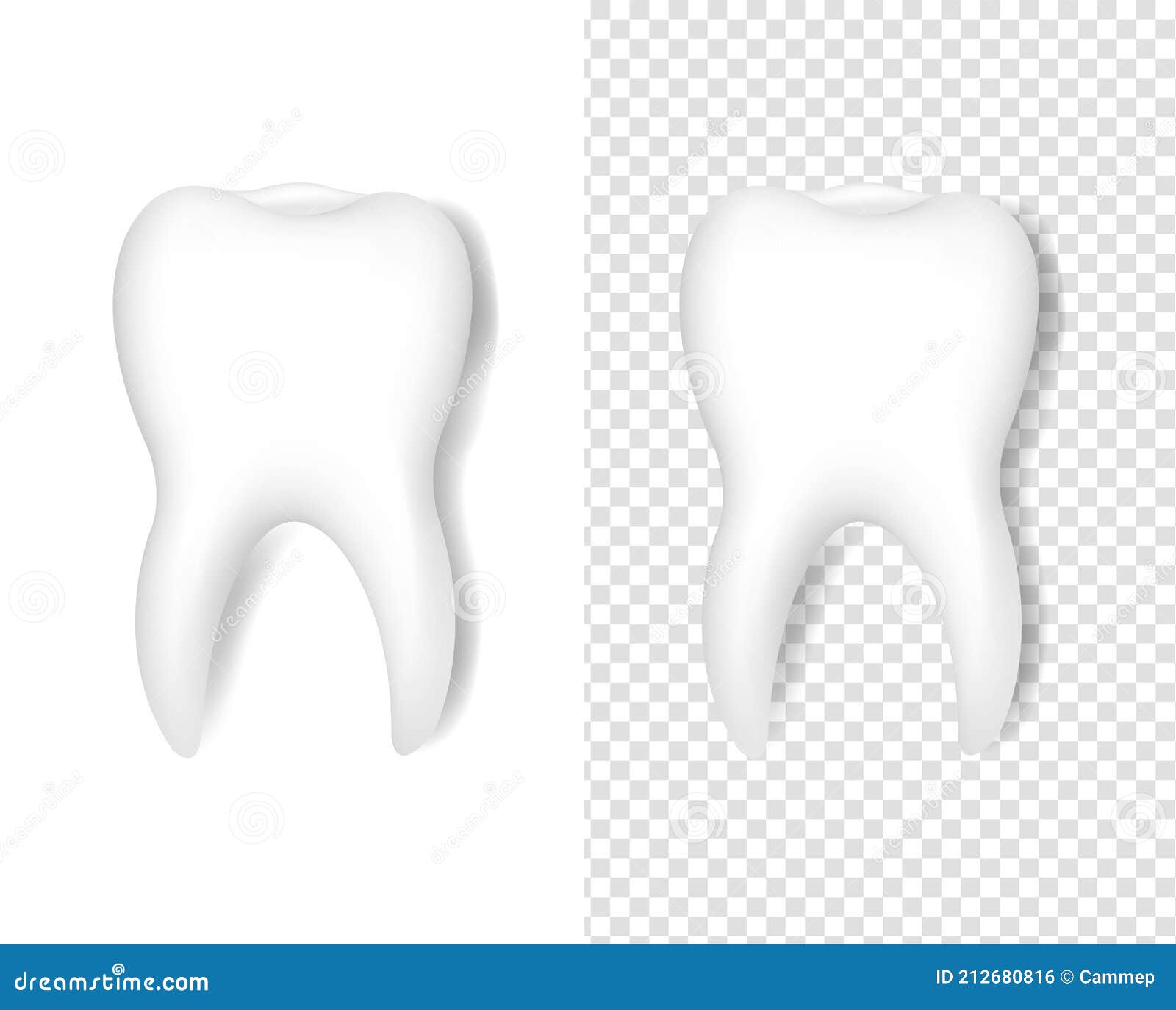 White Tooth Symbol Isolated White and Transparent Background Stock ...