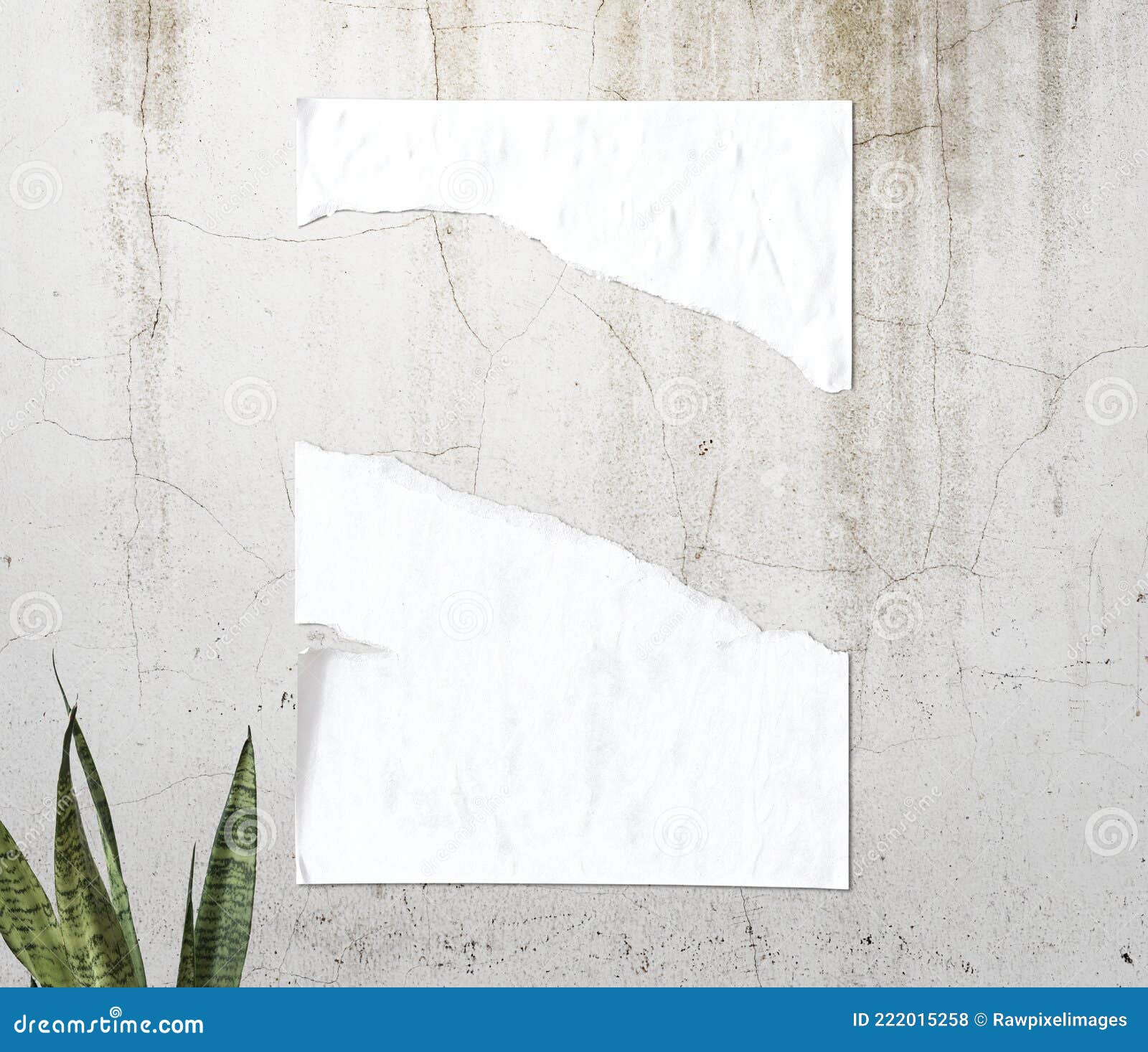 White Torn Paper Texture on the Wall Stock Photo - Image of torn, style ...
