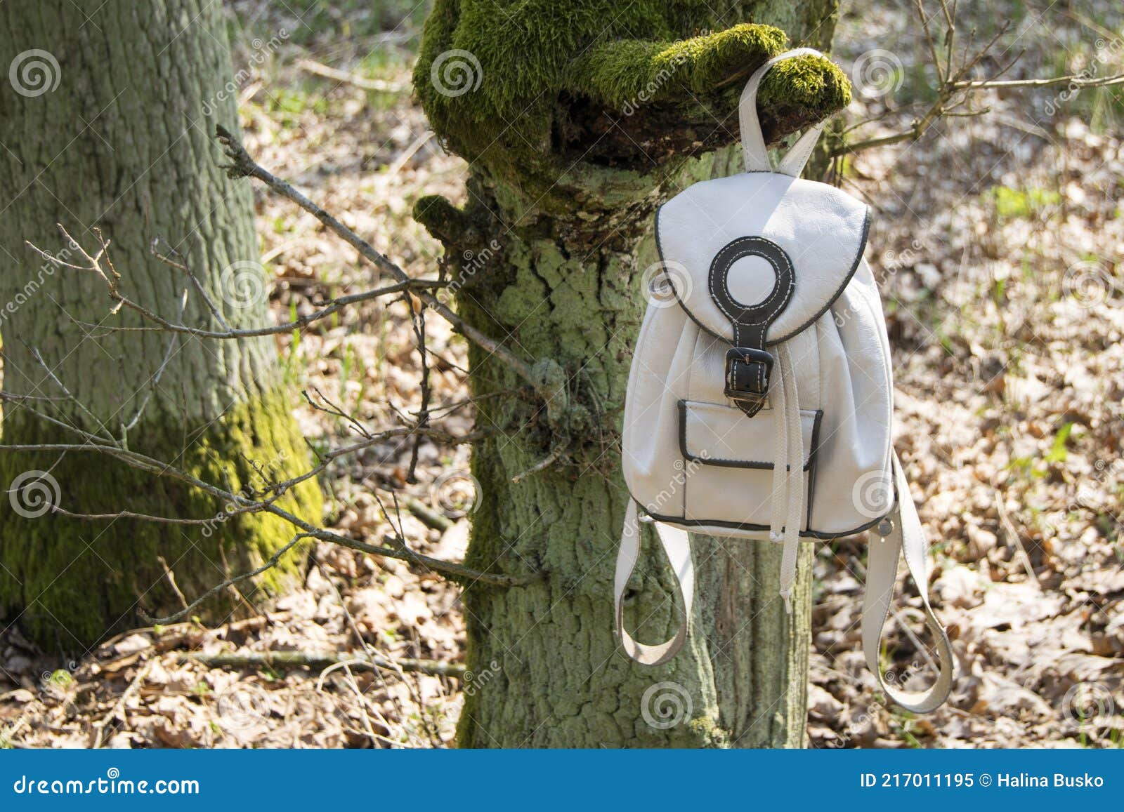 A White Tourist Backpack Hangs On A Tree. The Tree Is Covered With Moss ...