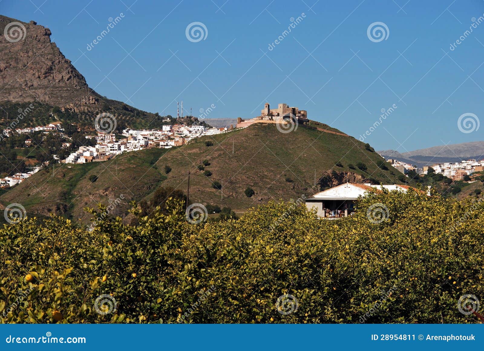 White Town and Lemon Trees, Alora, Spain. Stock Image - Image of ...