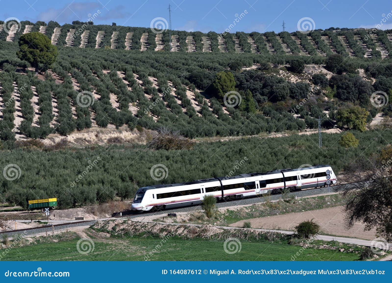 A White Train Crossing Olive Fields Stock Photo - Image of tourism ...