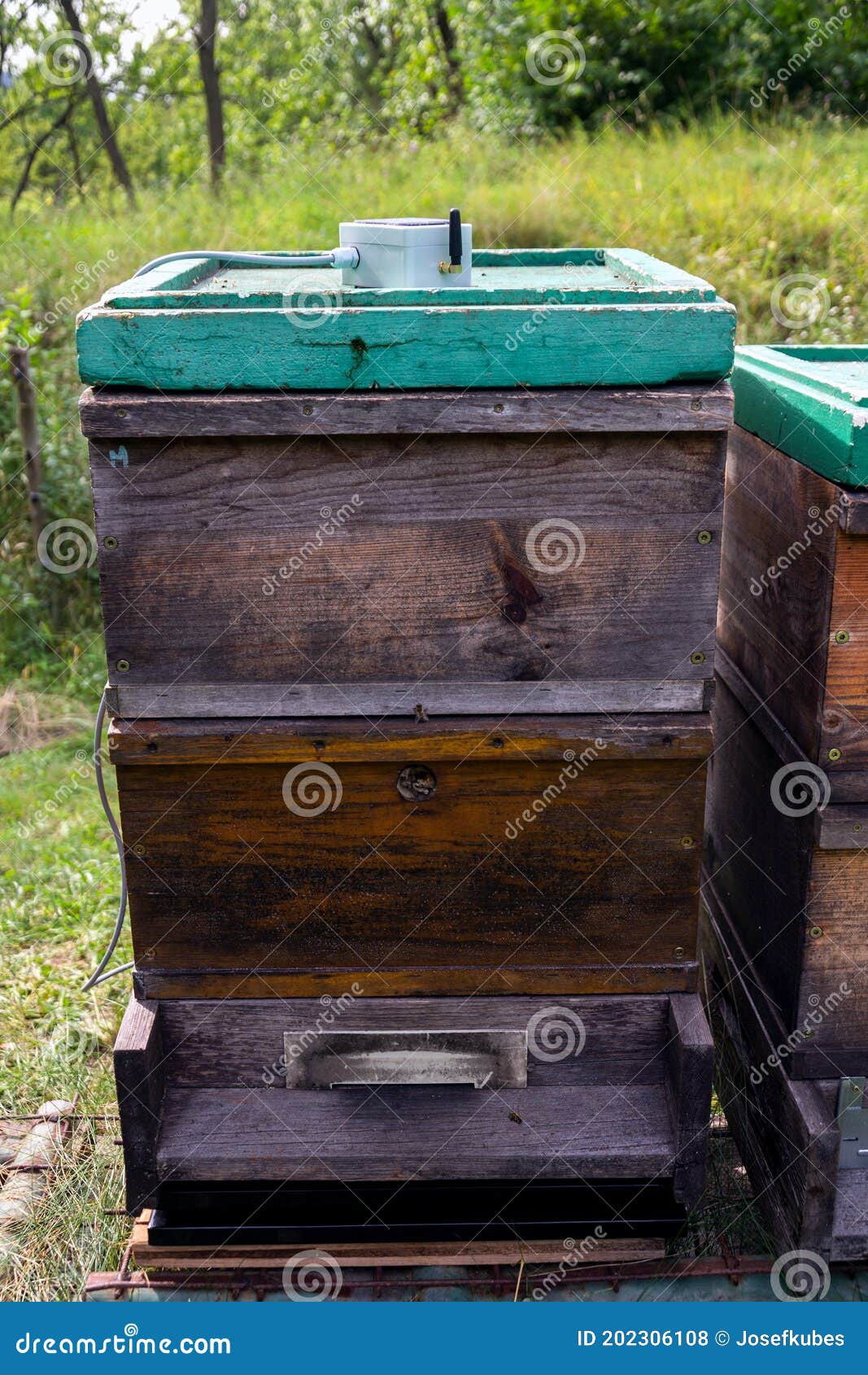 White Transmitter with Small Solar Panel and Bees Monitoring System on ...