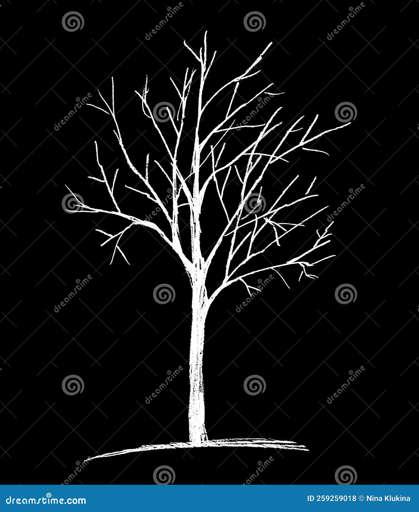A White Tree with Bare Branches on a Black Background Stock ...