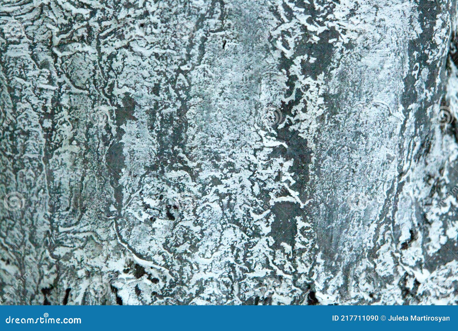 White Tree Bark As Background Stock Photo - Image of birch, natural ...