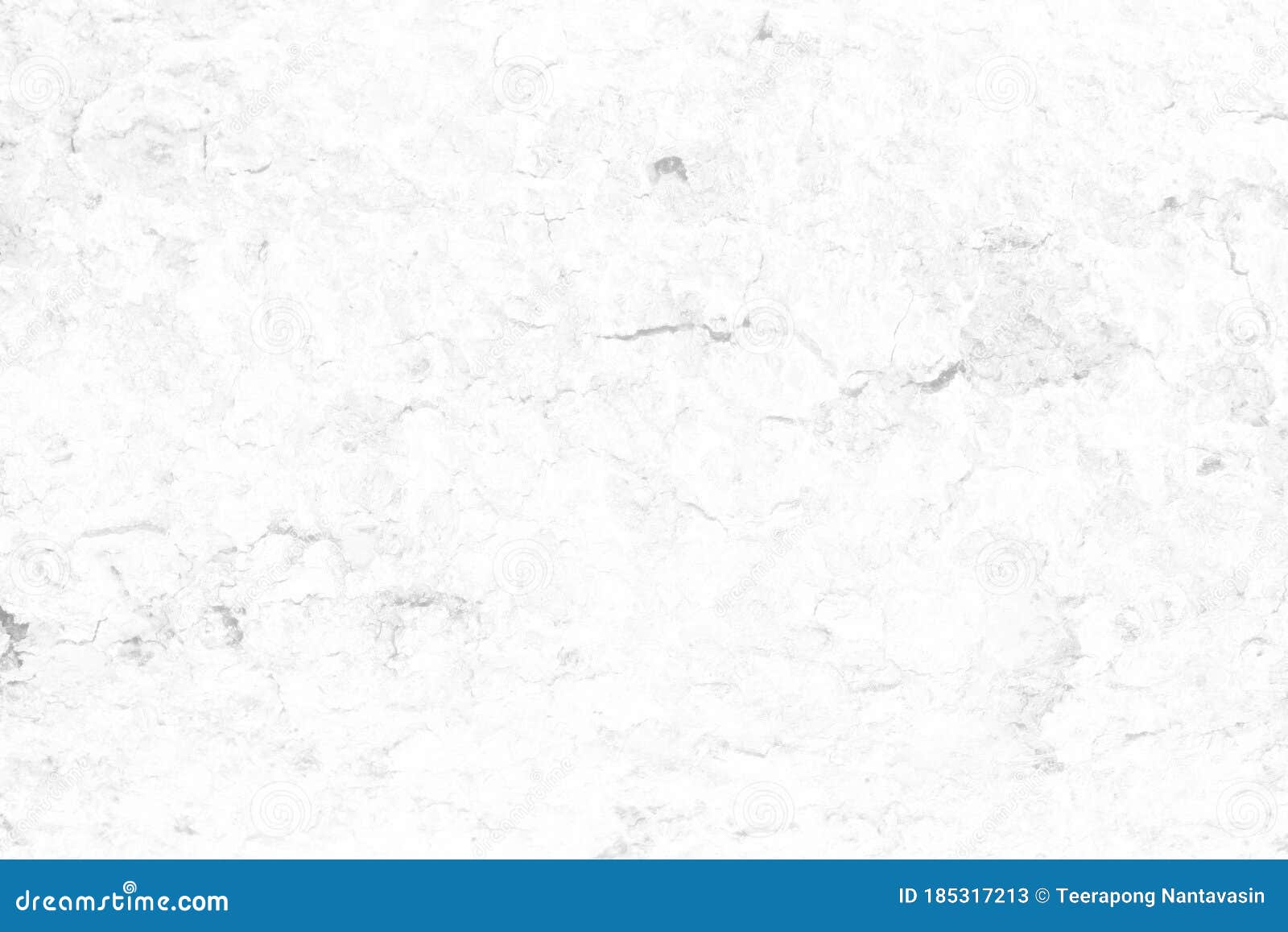 White Tree Bark Texture Background. Stock Image - Image of light, birch ...