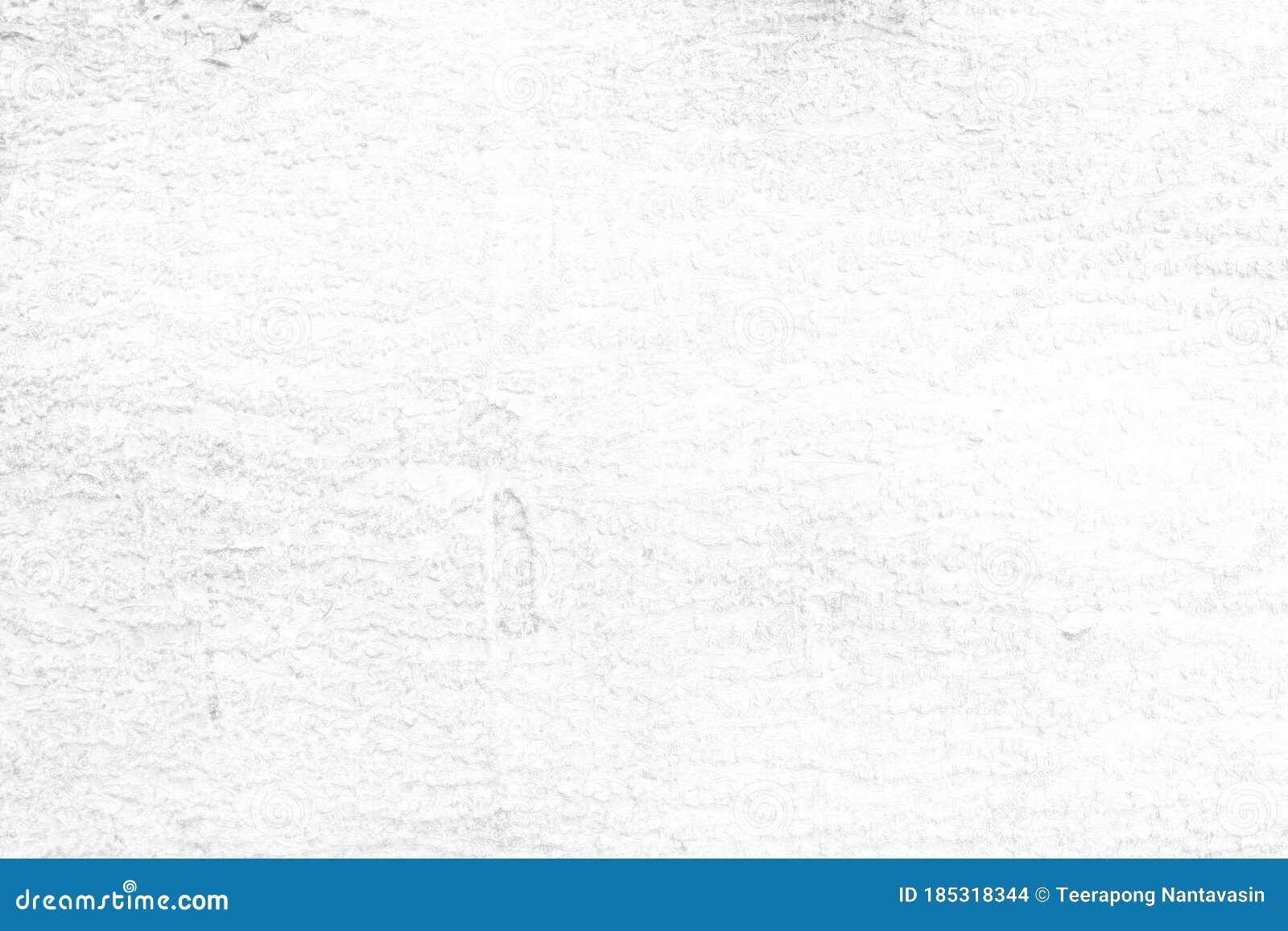 White Tree Bark Texture Background. Stock Photo - Image of empty, light ...