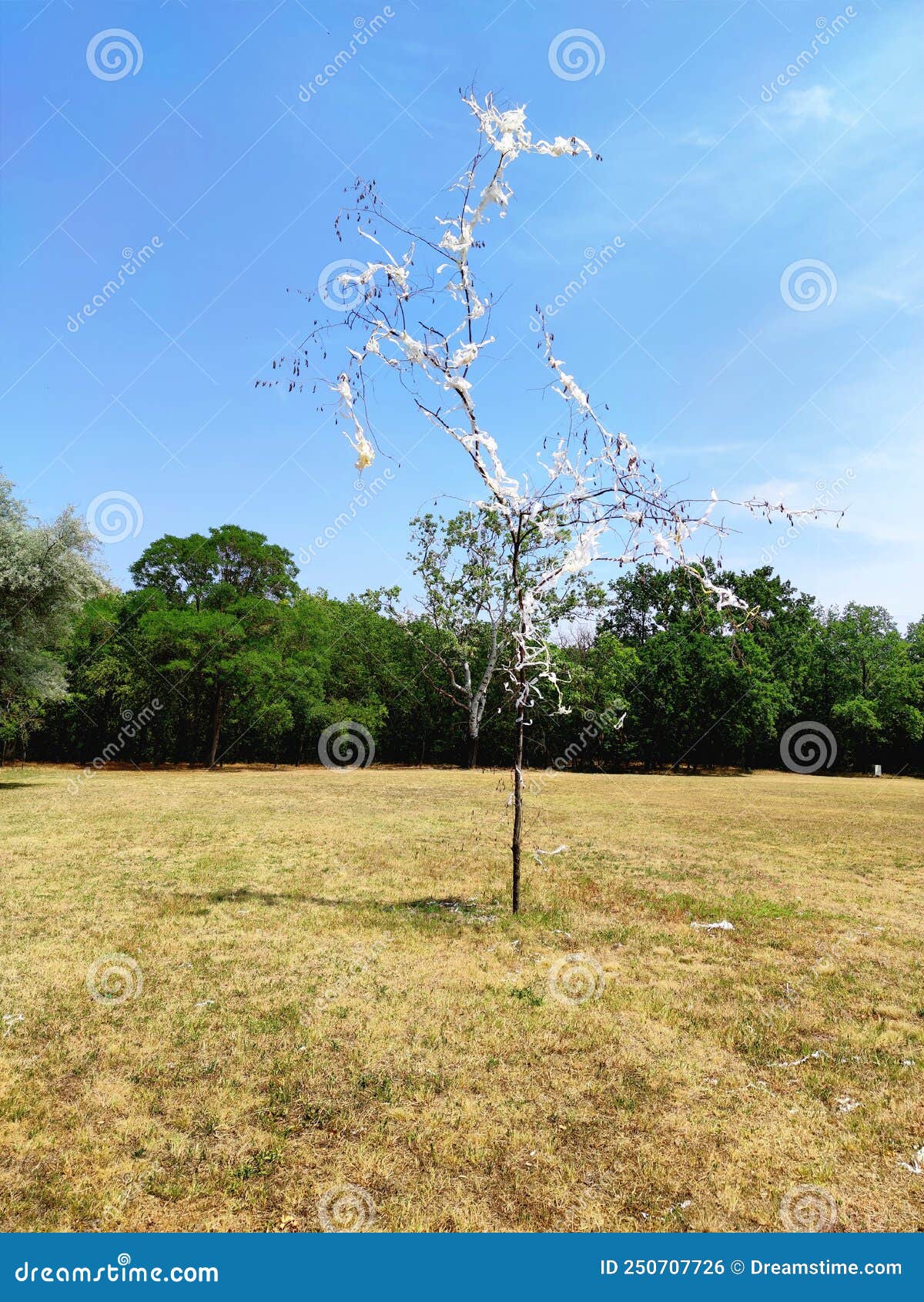 White tree with depression stock photo. Image of depression - 250707726
