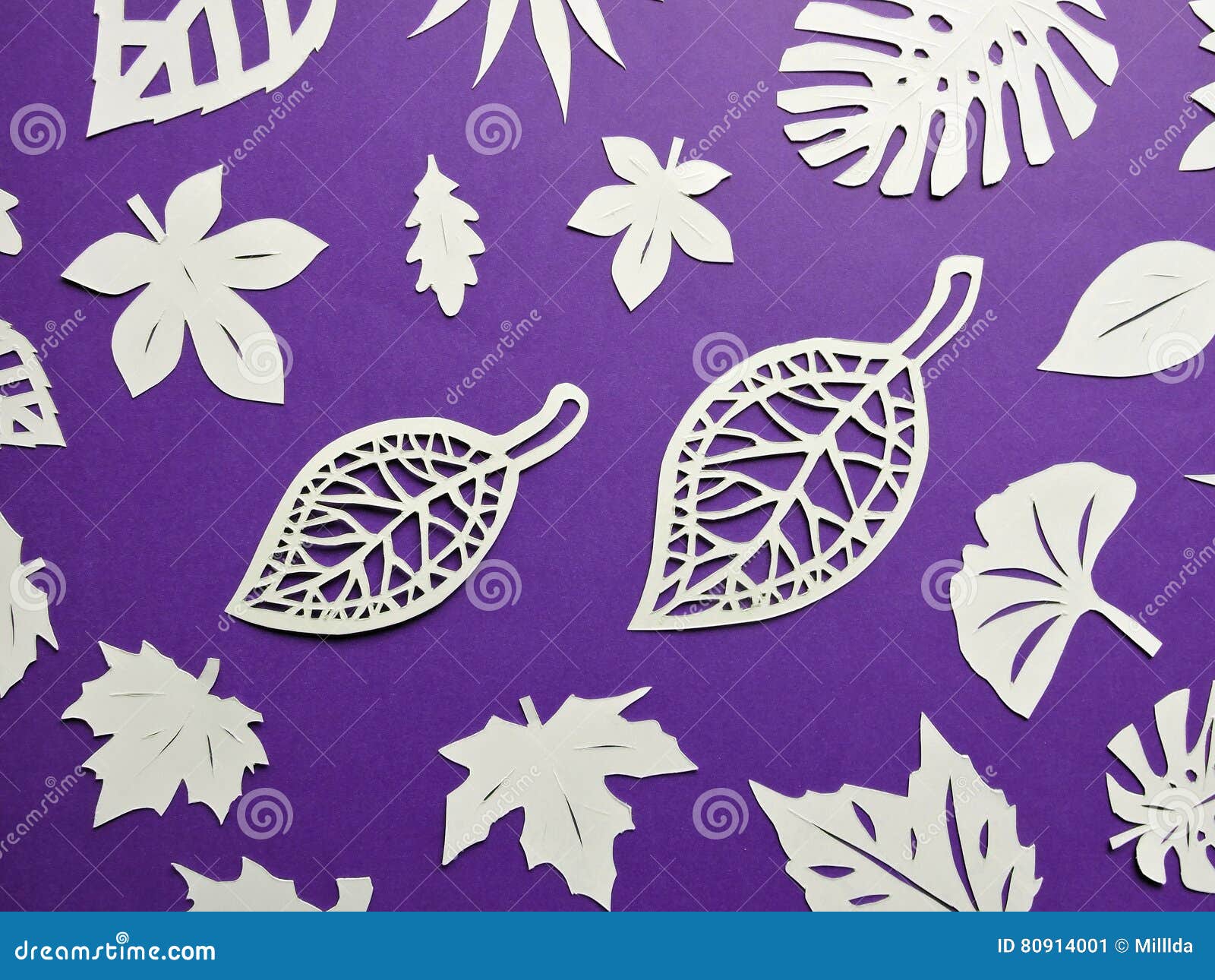 White Tree Leaves . Paper Cutting Stock Image - Image of white, leaves ...