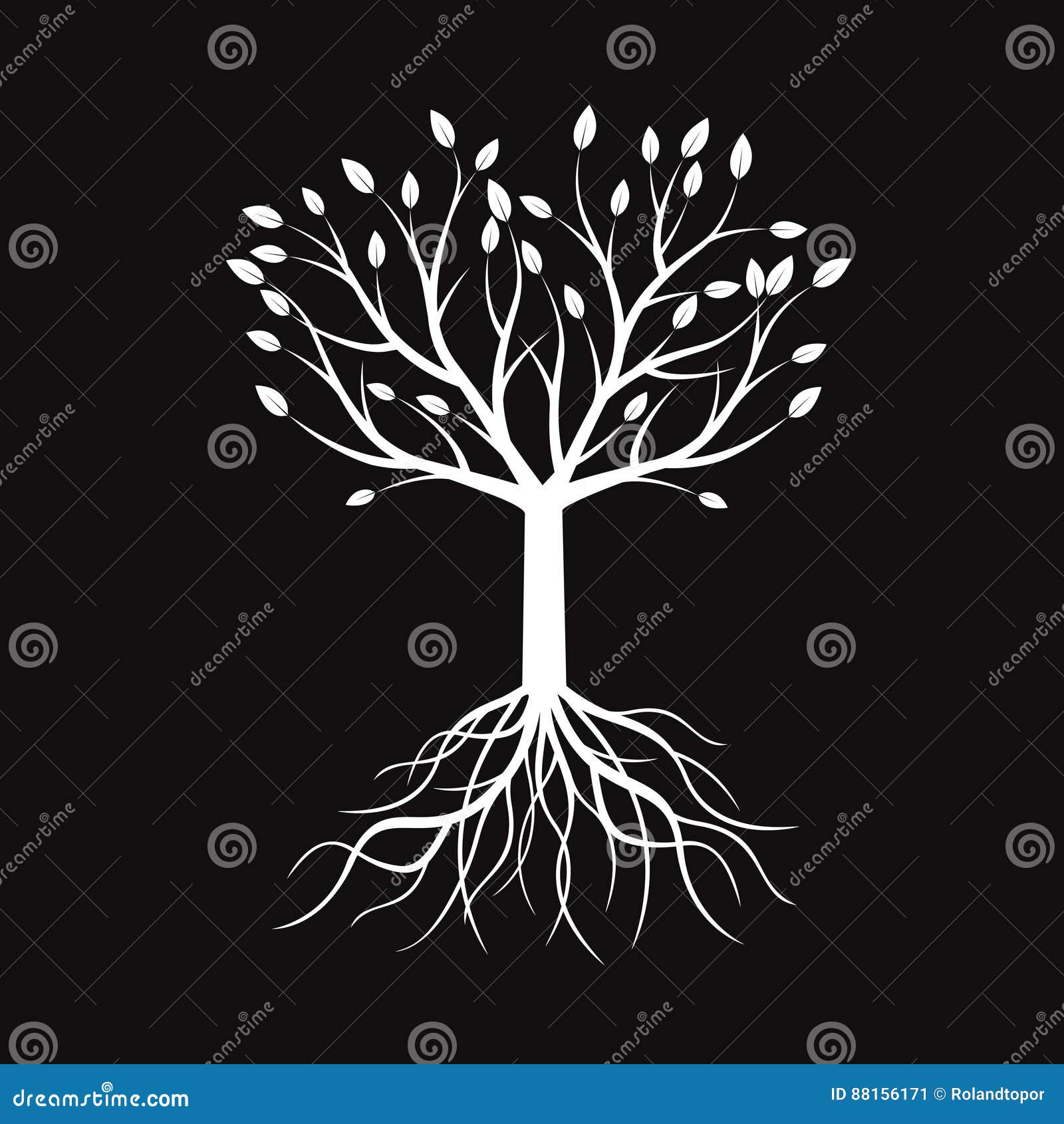 White Tree and Roots. stock illustration. Illustration of spring - 88156171