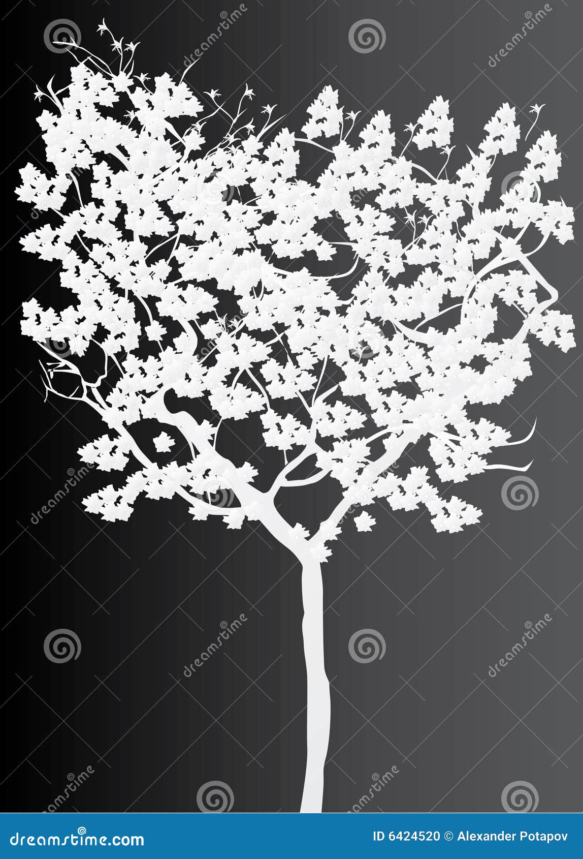 White tree silhouette stock illustration. Illustration of element - 6424520