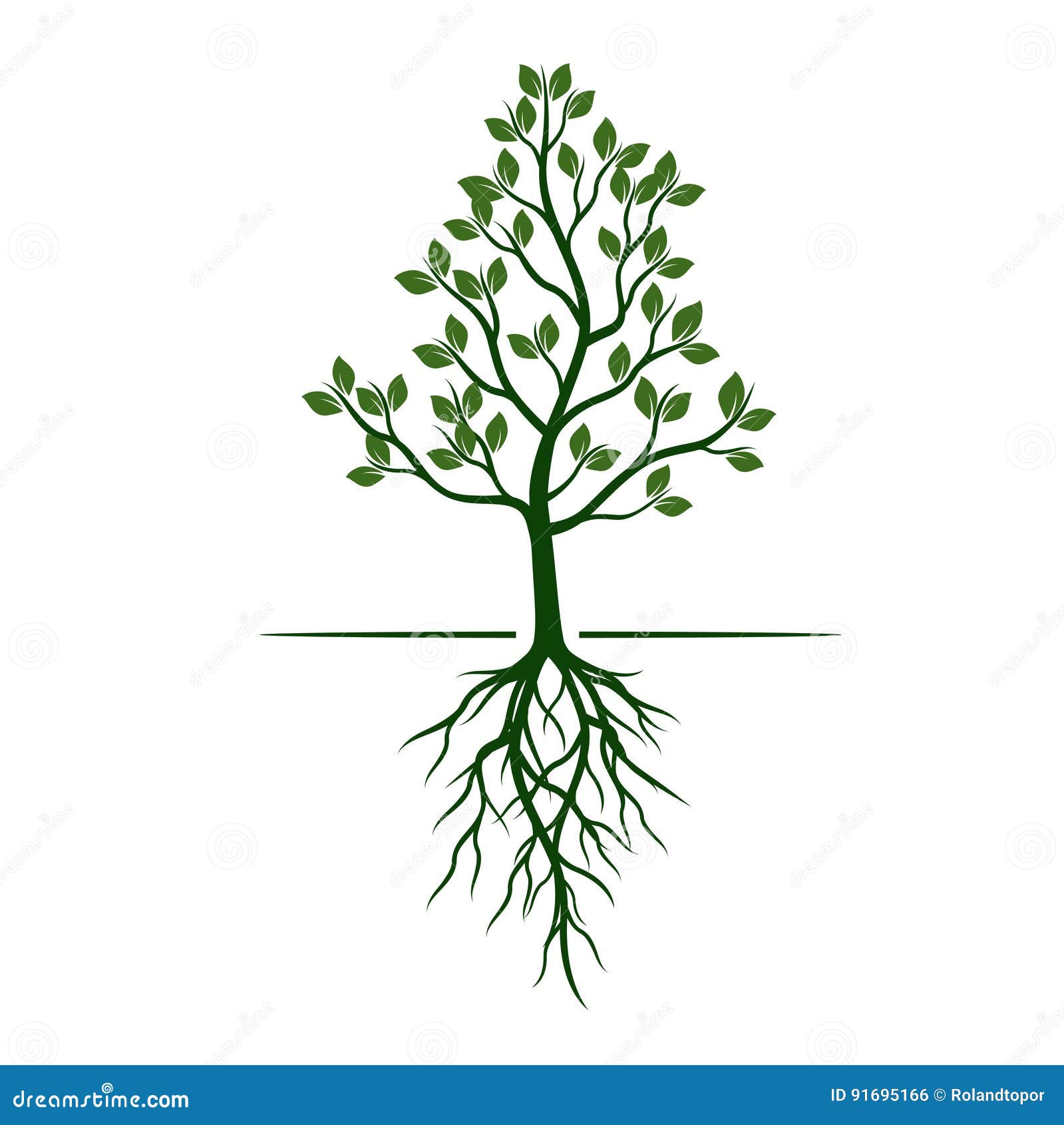 White Trees with Roots on Green Background. Vector Illustration. Stock ...