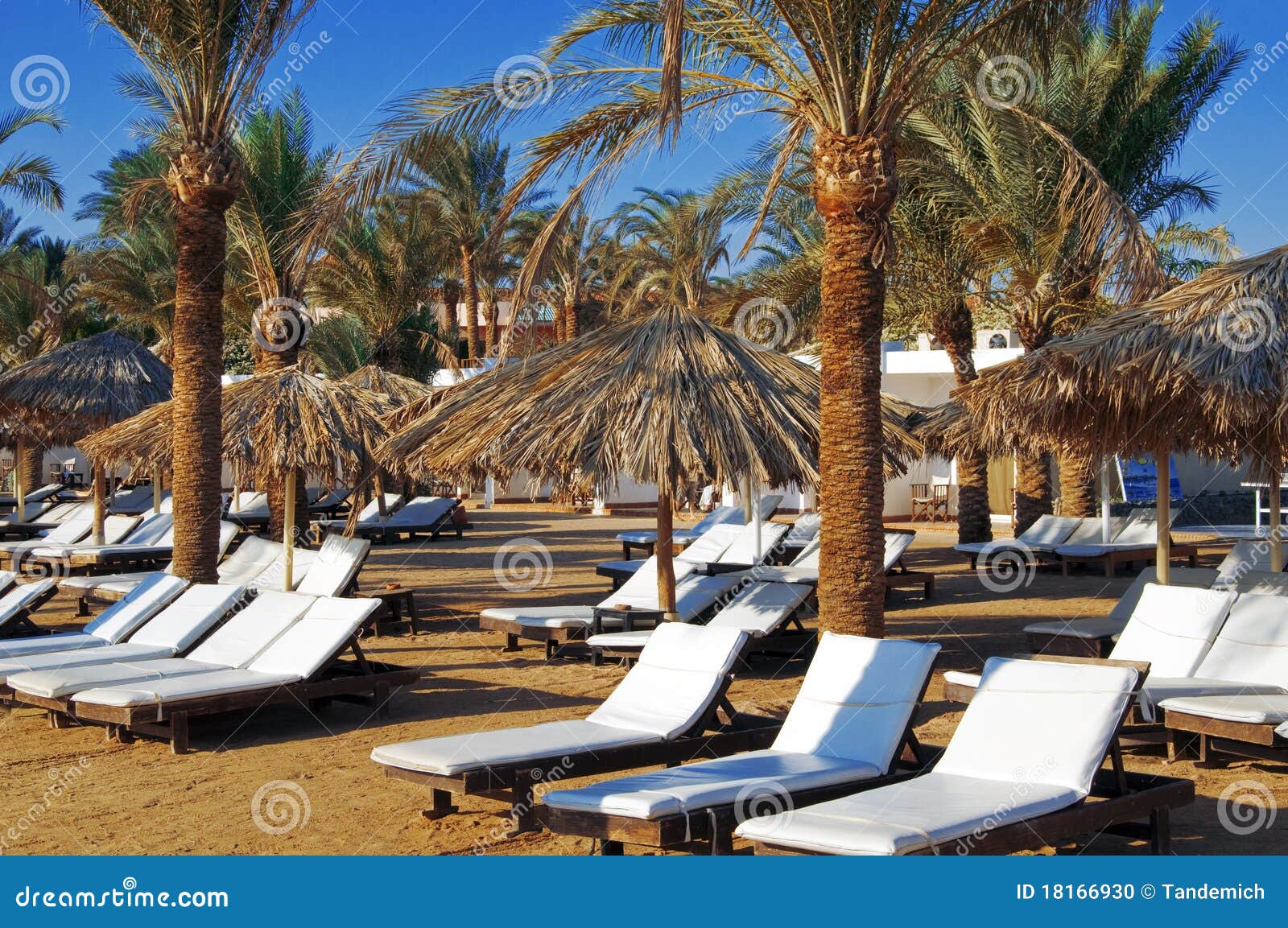 White Trestle Beds on a Tropical Beach Stock Photo - Image of divan ...