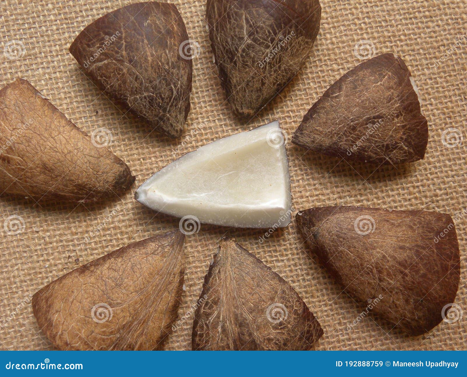 White triangular cut Copra stock image. Image of macro - 192888759