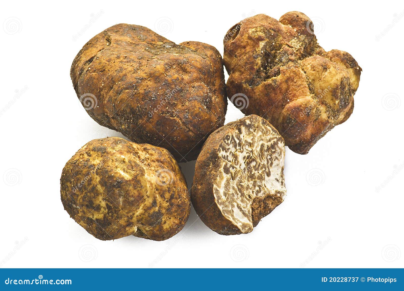 White Truffle Tuber Magnatum Pico From Alba, Italy Royalty-Free Stock ...
