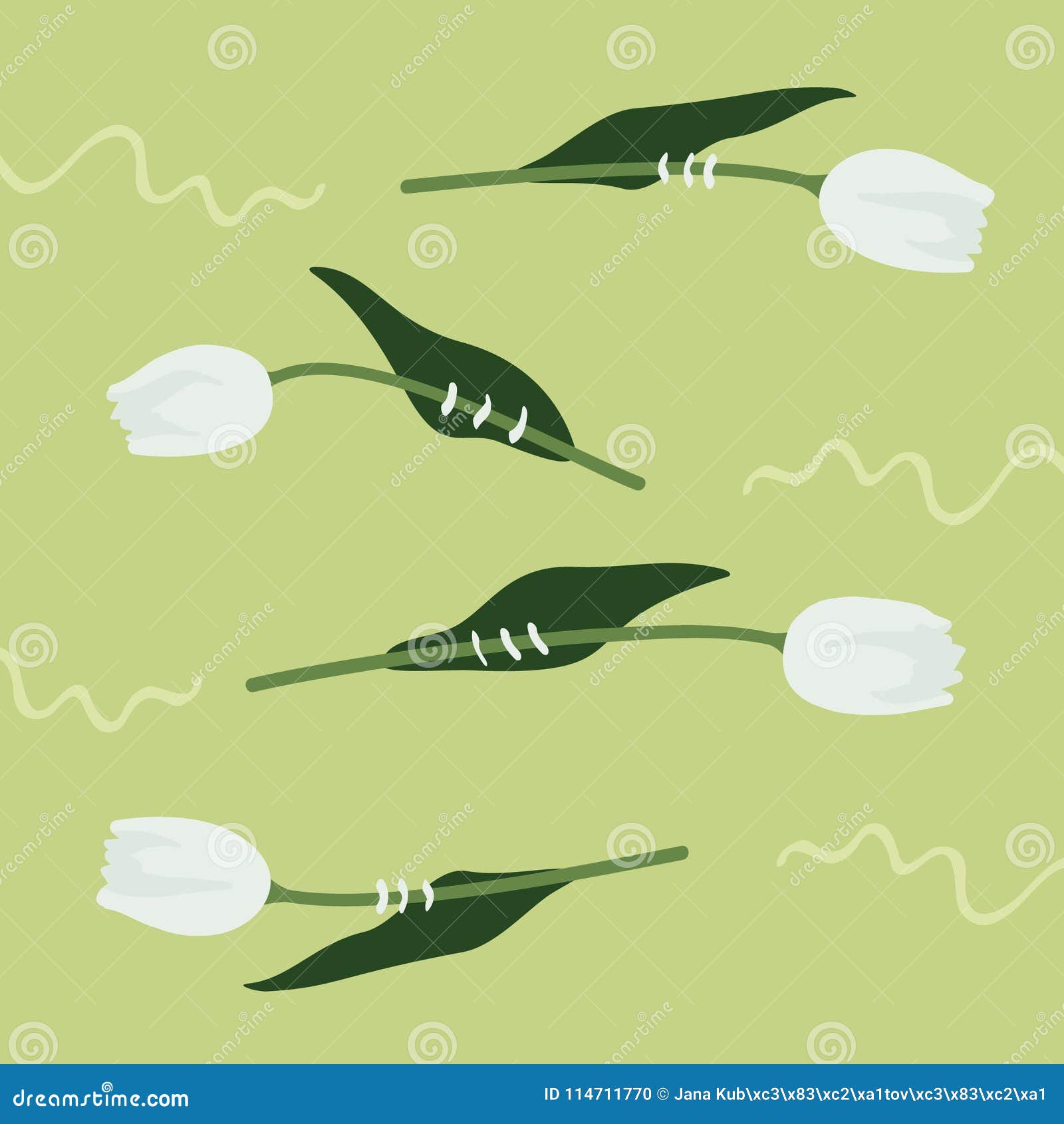 White tulips illustration stock vector. Illustration of thread - 114711770