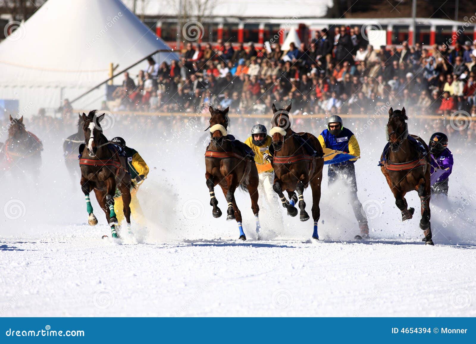 White Turf 2008 in St. Moritz Editorial Stock Image - Image of gallop ...
