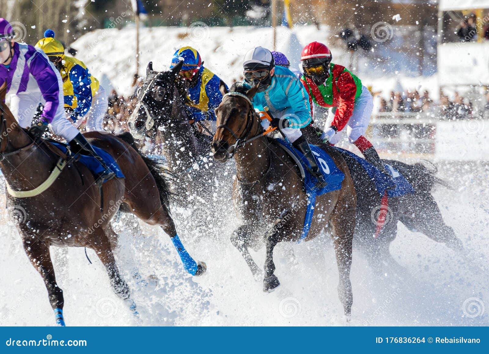 White Turf Race - Switzerland Editorial Stock Image - Image of engadine ...