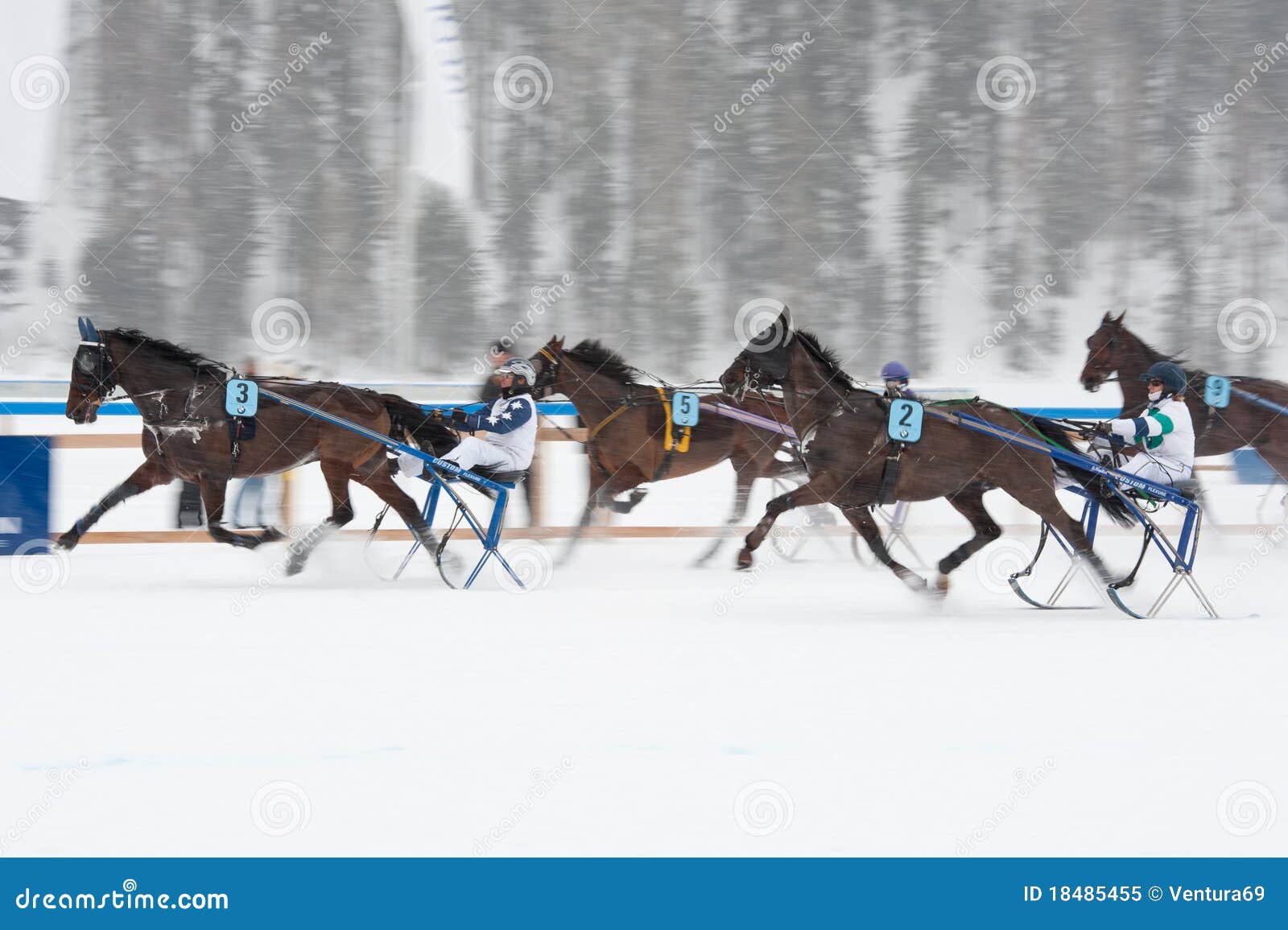White Turf in St. Moritz, Switzerland Editorial Image - Image of moritz ...