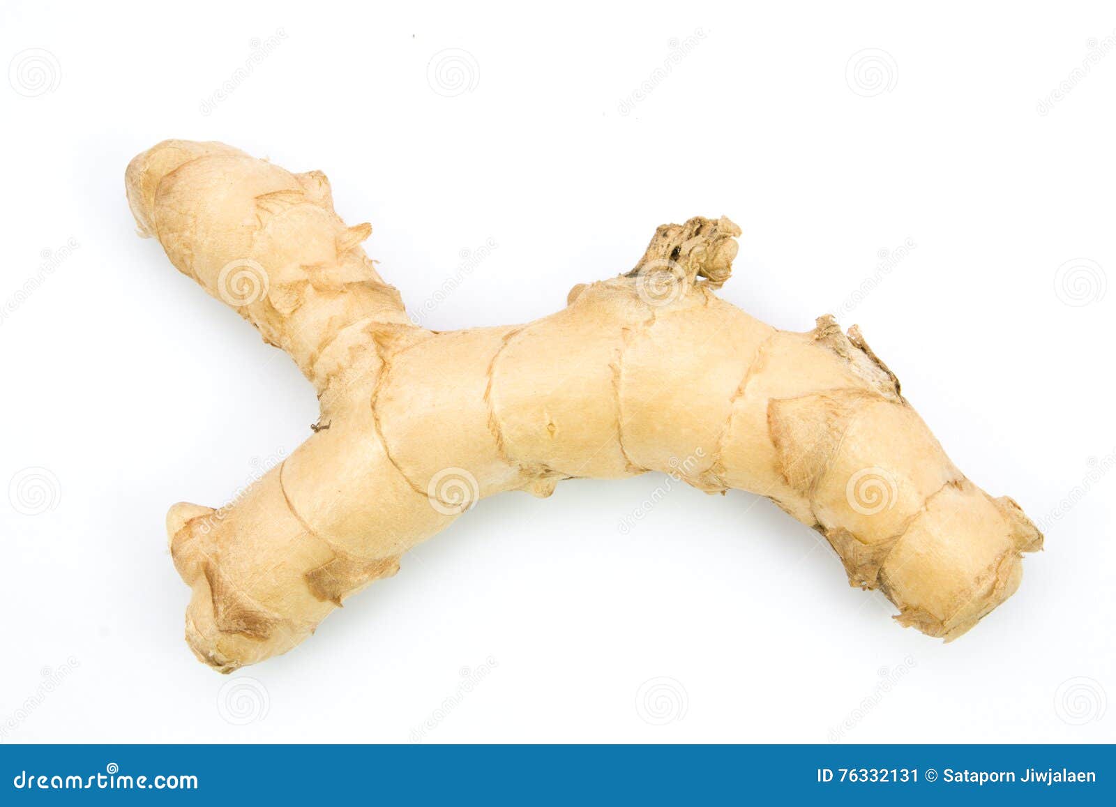White Turmeric stock image. Image of closeup, curcuma - 76332131