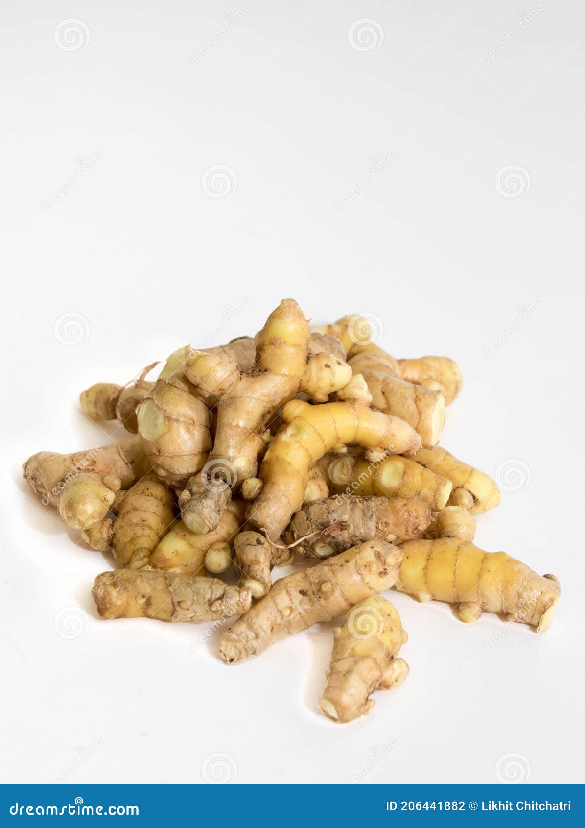 White Turmeric Isolated on White Stock Photo - Image of herbal ...