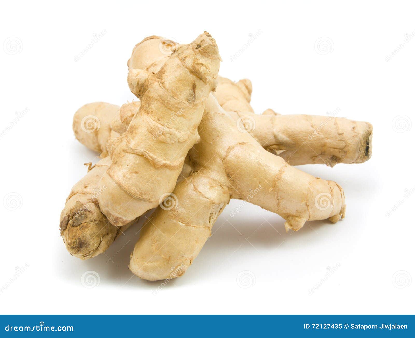 White Turmeric isolated stock image. Image of ingredient - 72127435