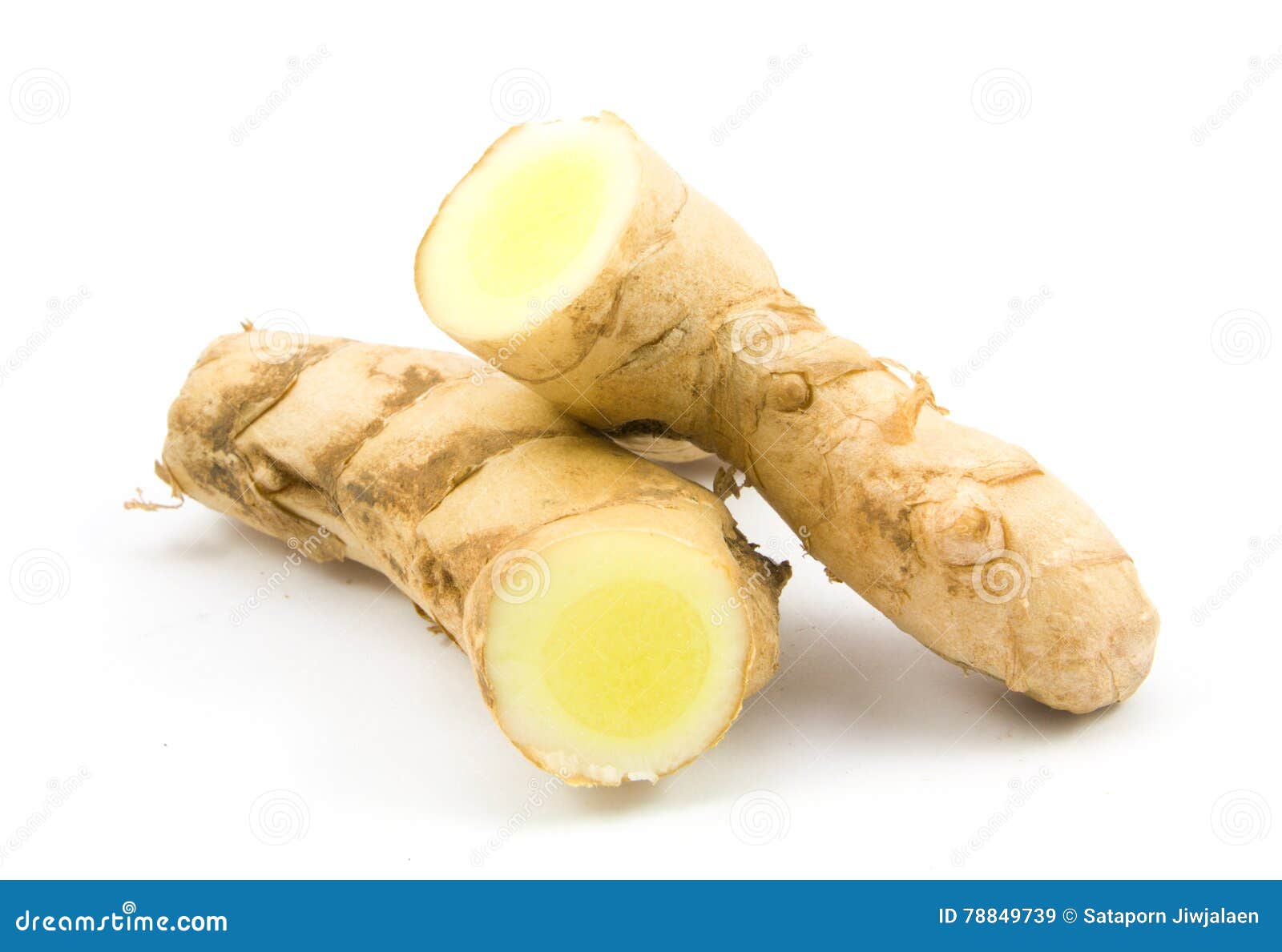White Turmeric isolated stock image. Image of curcuma - 78849739