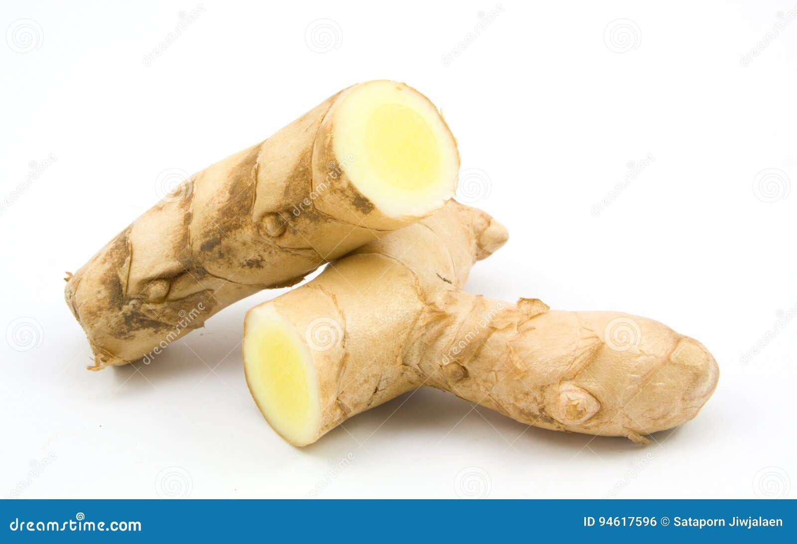 White Turmeric isolated stock photo. Image of exotic - 94617596