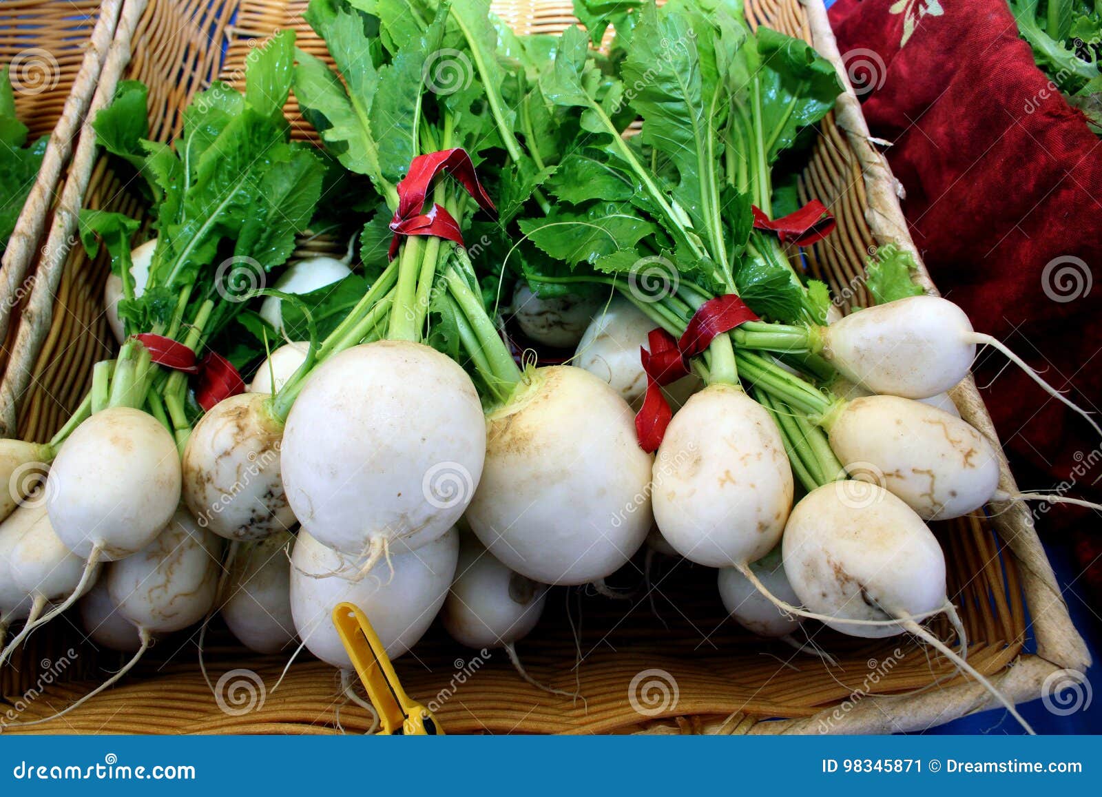 White turnips stock image. Image of organic, vegetable - 98345871