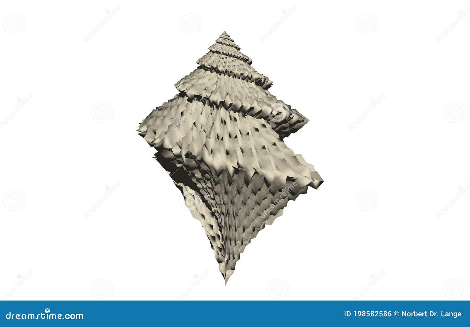 White twisted sea shell stock illustration. Illustration of limestone ...