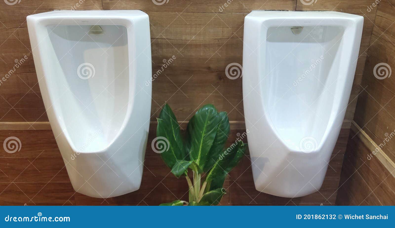 The White Urinal Hung on a Separate Wall, with a Small Tree in the ...