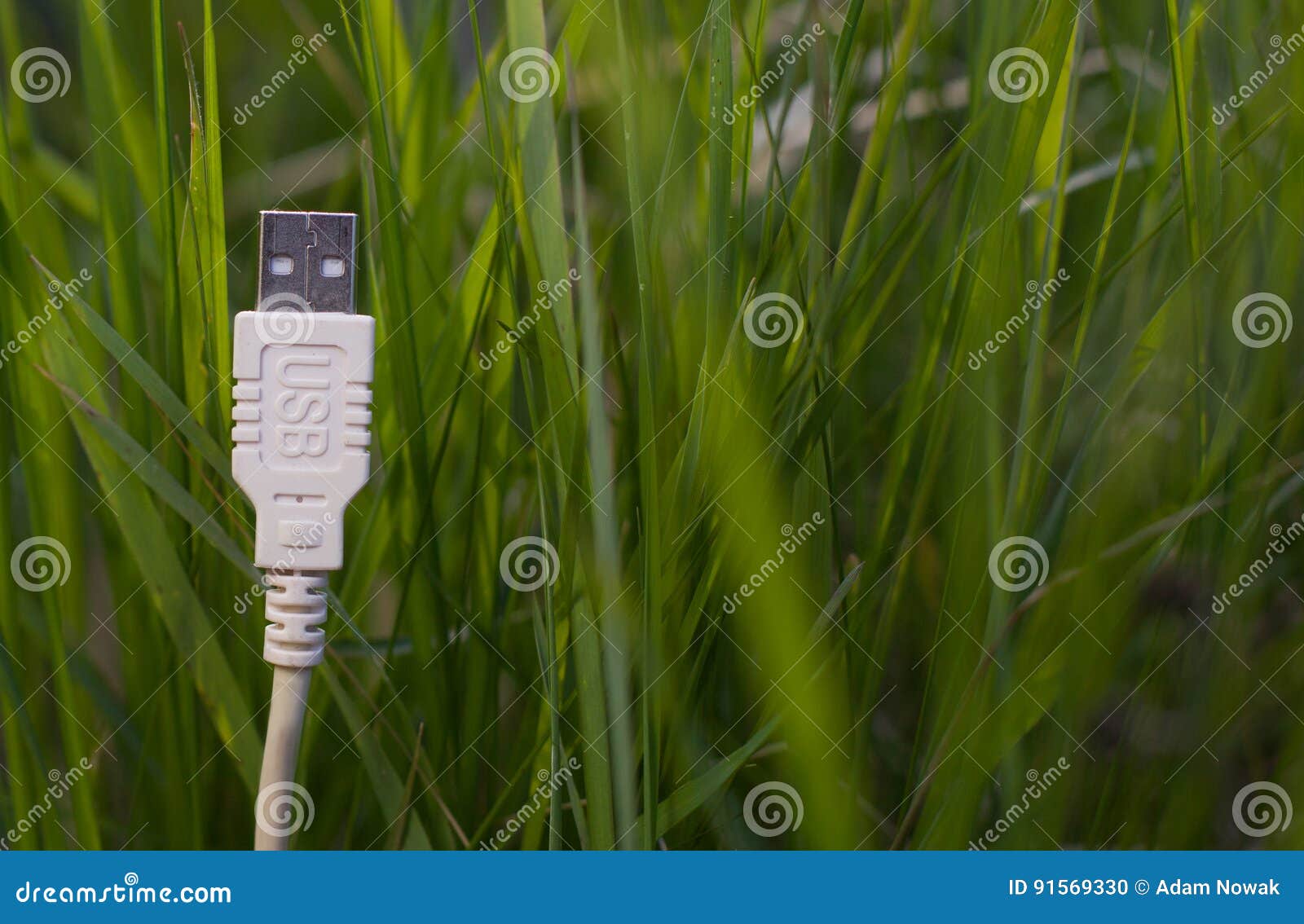 White USB Cable on Grass - Green Technology Stock Photo - Image of ...