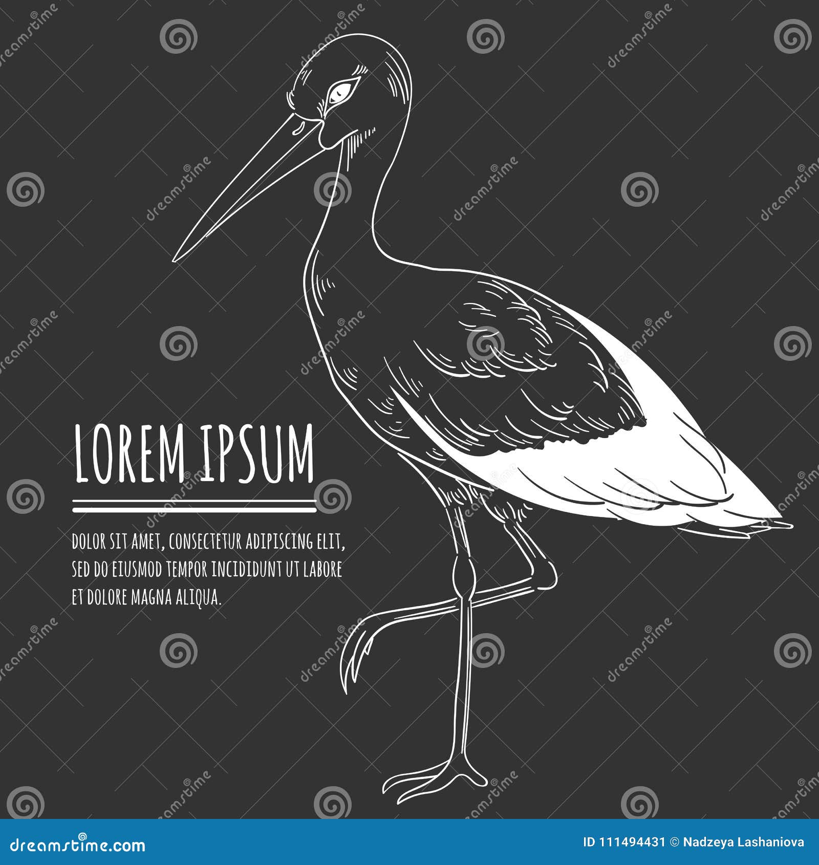 White Vector Isolated Stork EPS8 Stock Vector - Illustration of white ...
