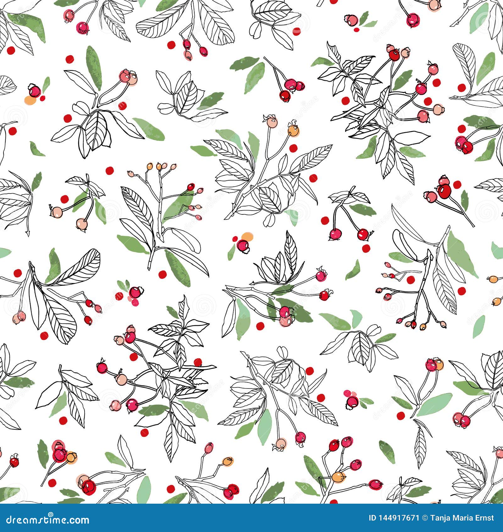 White Pattern with Winter Berries. Stock Vector - Illustration of ...