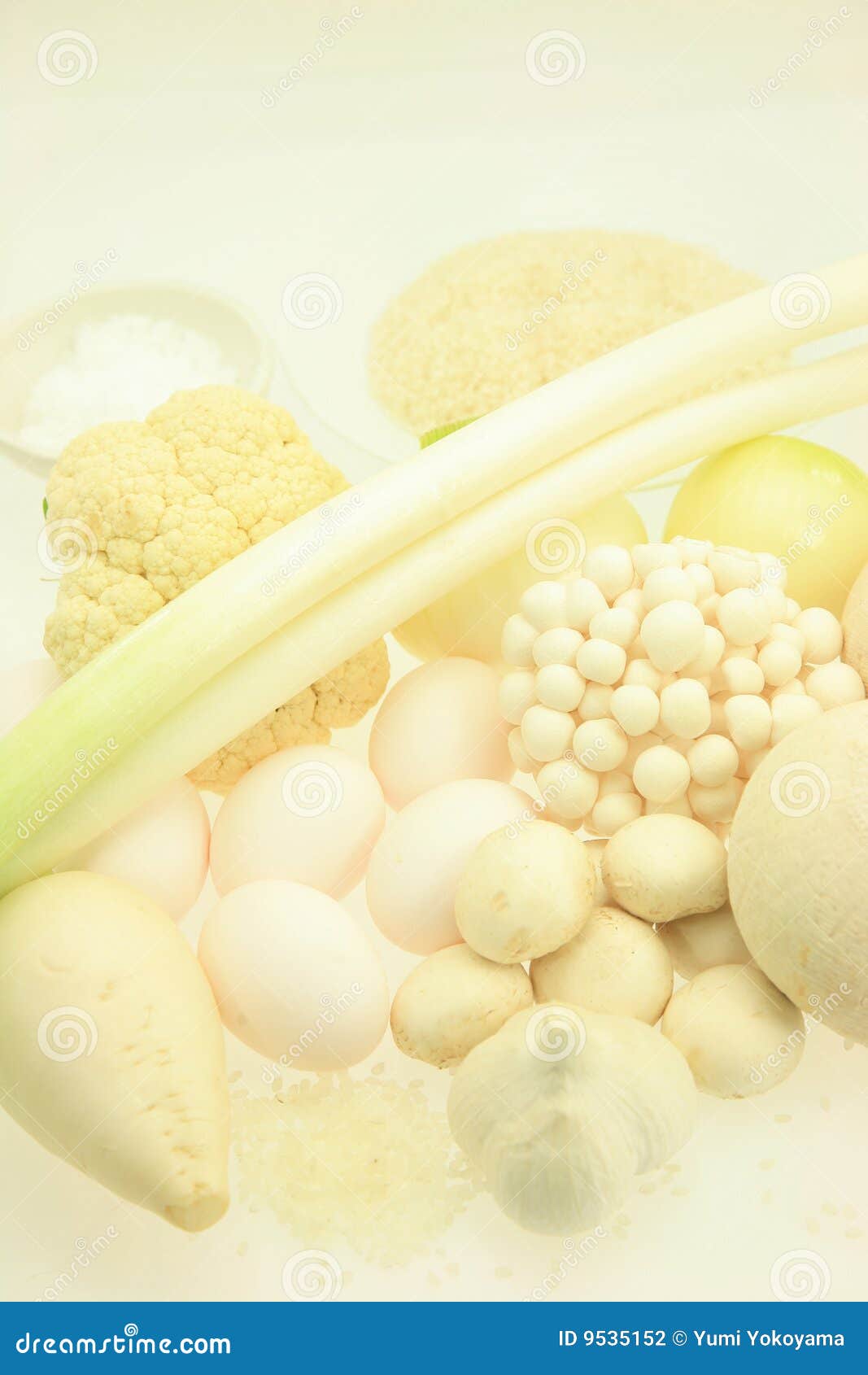 White vegetables stock photo. Image of food, mushroom - 9535152