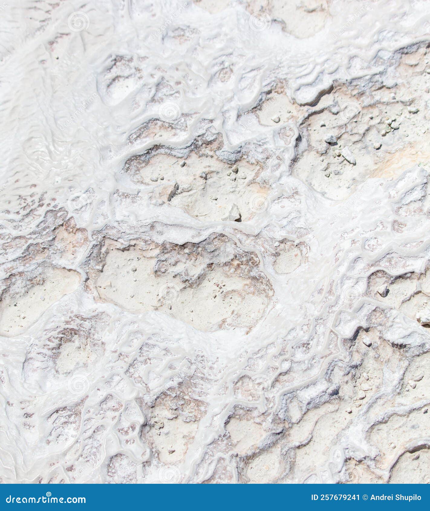 White Volcanic Limestone Rock As Background. Stock Image - Image of ...