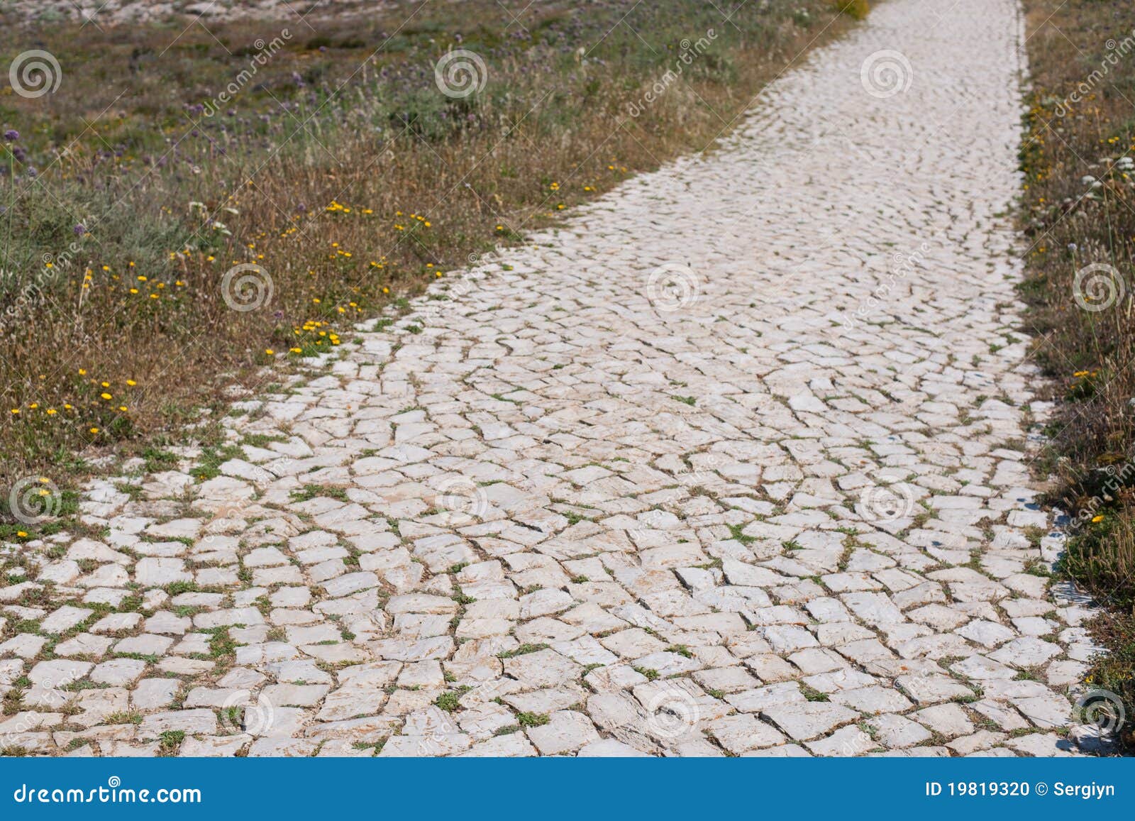 White Walkway among the Grass Stock Photo - Image of lane, rock: 19819320