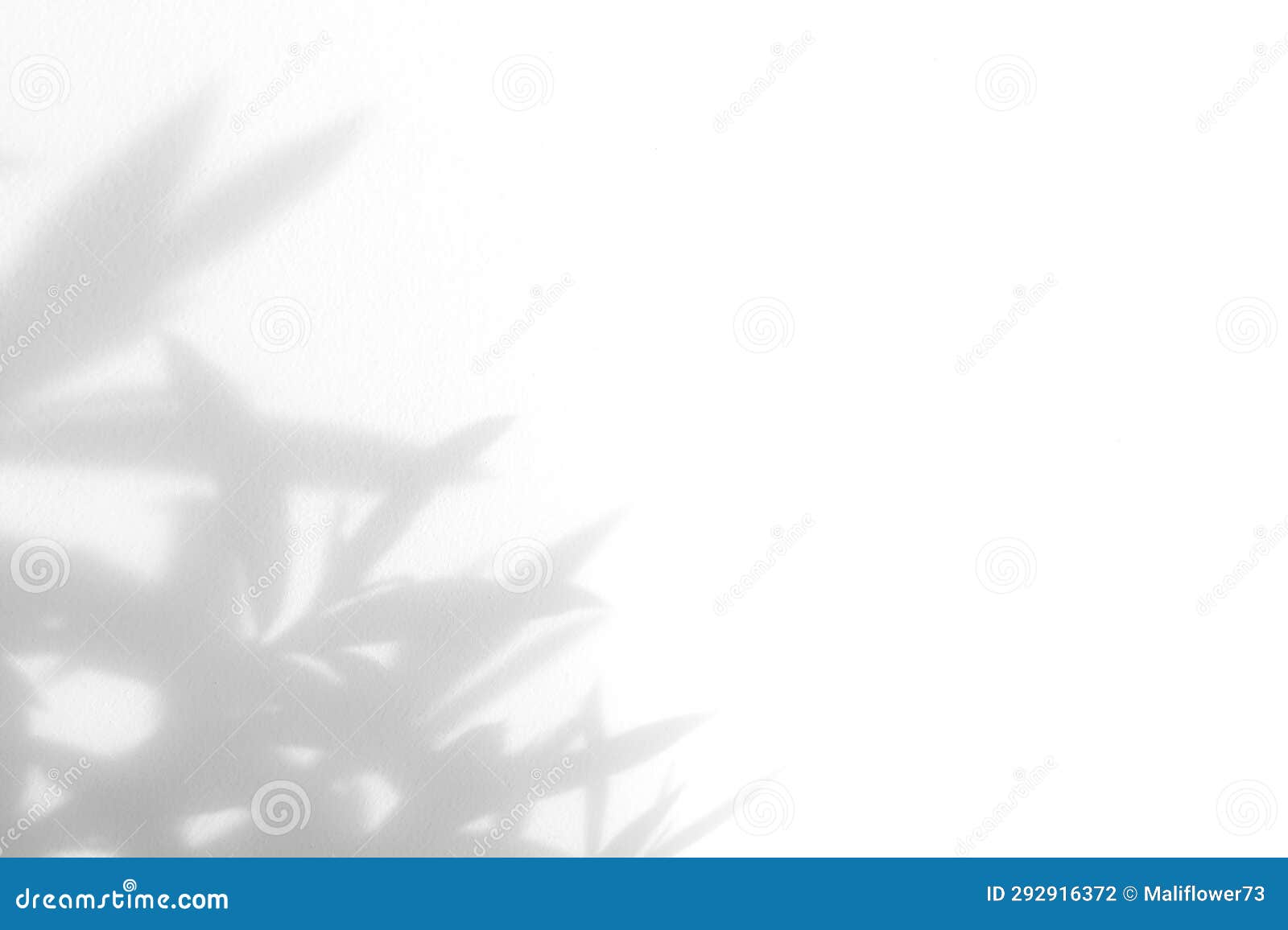 White Wall with Leaves Shadow Overlay. Sunlight Effect Shadow on the ...