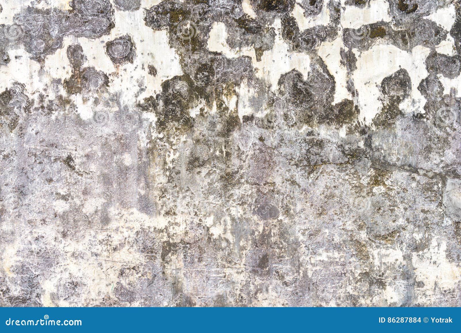 White Wall and Mildewed Walls Stock Photo - Image of damaged, mildewed ...