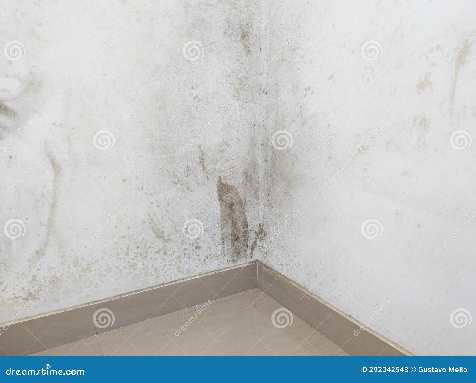 White Wall with Mold and Fungus Problem. Moisture Problem Stock Image ...
